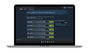 How to Add a Custom Amount to Your Steam Wallet?