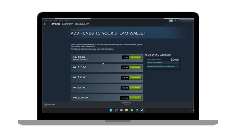 How to Add a Custom Amount to Your Steam Wallet?