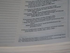 What Is GPA Scale Reporting on Common App? Explained - webdevsupply