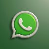 What Does a Single or Double Check Mark Mean on WhatsApp? - webdevsupply