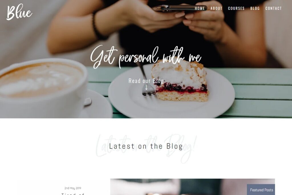 Blue Divi Child theme for business - webdevsupply